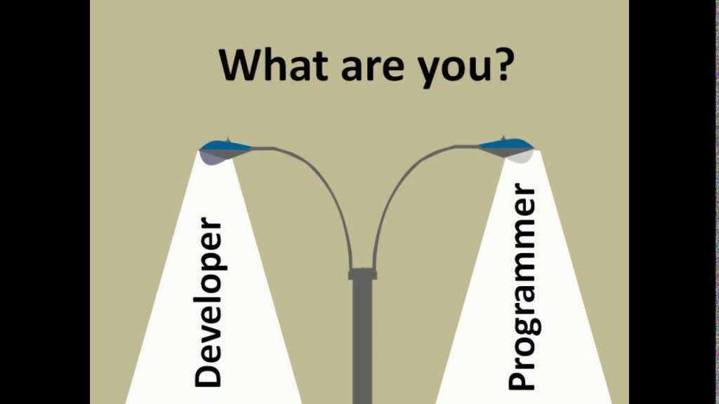 Apa Perbedaan antara Developer dan Programmer?-