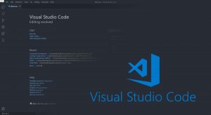 Ekstensi VS Code yang Harus Dimiliki oleh Pengembang